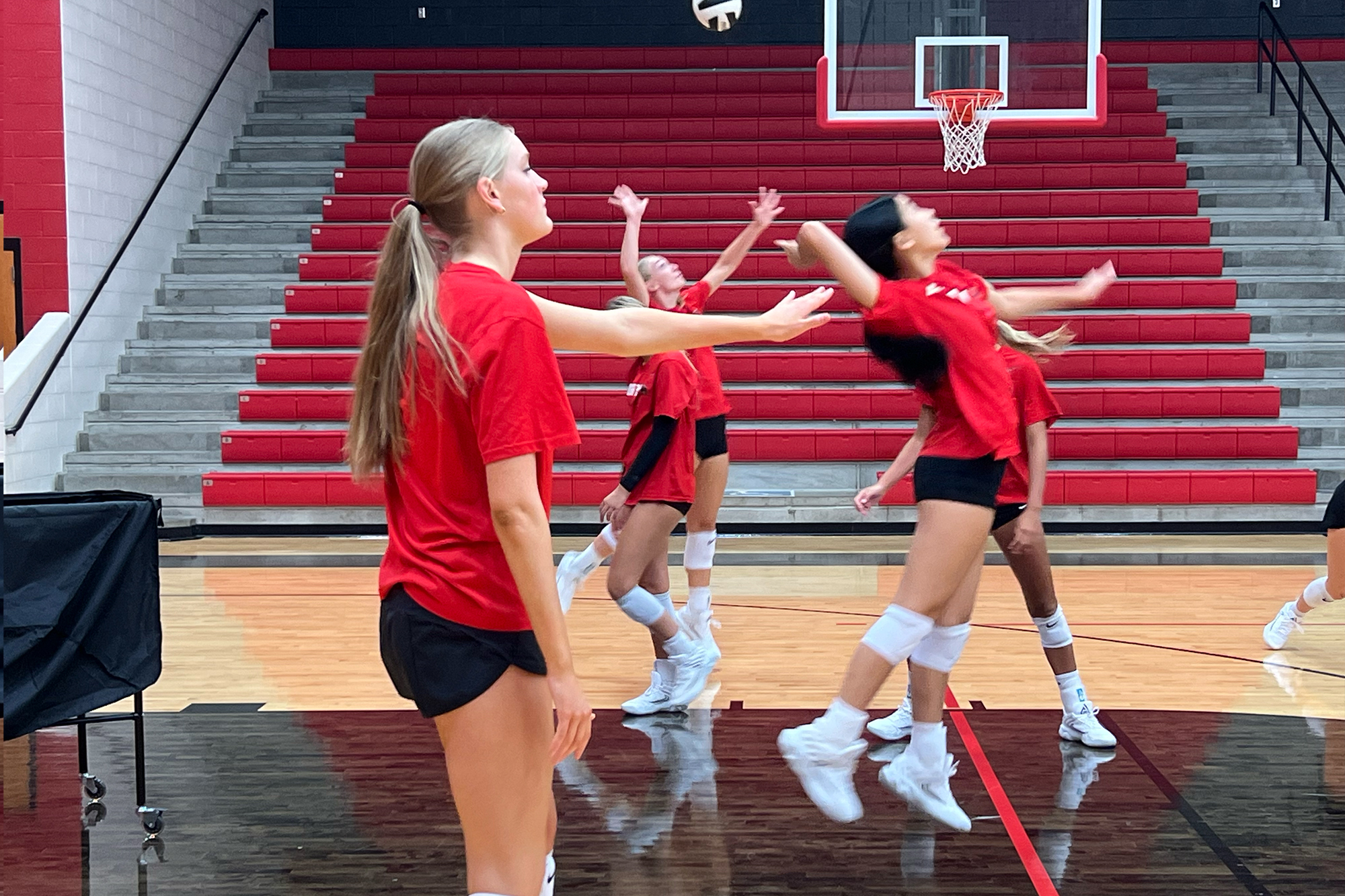 Volleyball cages the Bobcats – WINGSPAN